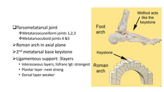 Foot and ankle anatomy & biomechanics.pptx