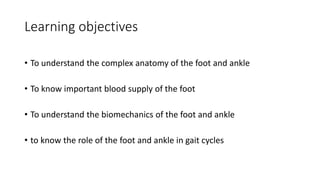 Foot and ankle anatomy & biomechanics.pptx