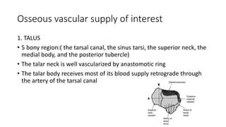 Foot and ankle anatomy & biomechanics.pptx