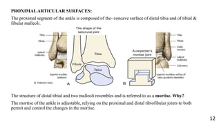 Biomechanics of Foot and Ankle complex, CP orthotic management &Tone ...