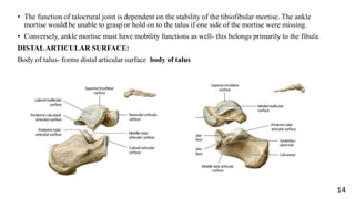 Biomechanics of Foot and Ankle complex, CP orthotic management &Tone ...