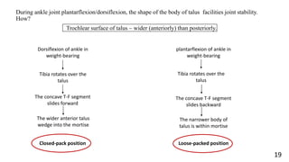 Biomechanics of Foot and Ankle complex, CP orthotic management &Tone ...