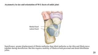 Biomechanics of Foot and Ankle complex, CP orthotic management &Tone ...