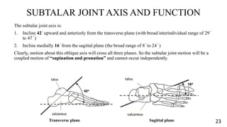 Biomechanics of Foot and Ankle complex, CP orthotic management &Tone ...