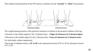 Biomechanics of Foot and Ankle complex, CP orthotic management &Tone ...