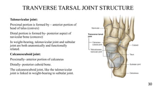 Biomechanics of Foot and Ankle complex, CP orthotic management &Tone ...
