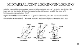 Biomechanics of Foot and Ankle complex, CP orthotic management &Tone ...