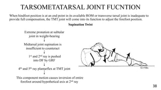 Biomechanics of Foot and Ankle complex, CP orthotic management &Tone ...