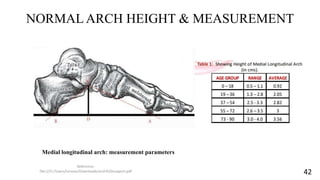Biomechanics of Foot and Ankle complex, CP orthotic management &Tone ...