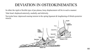 Biomechanics of Foot and Ankle complex, CP orthotic management &Tone ...