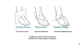 Biomechanics of Foot and Ankle complex, CP orthotic management &Tone ...