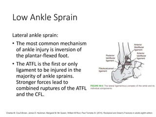 Foot and ankle instability | PPT