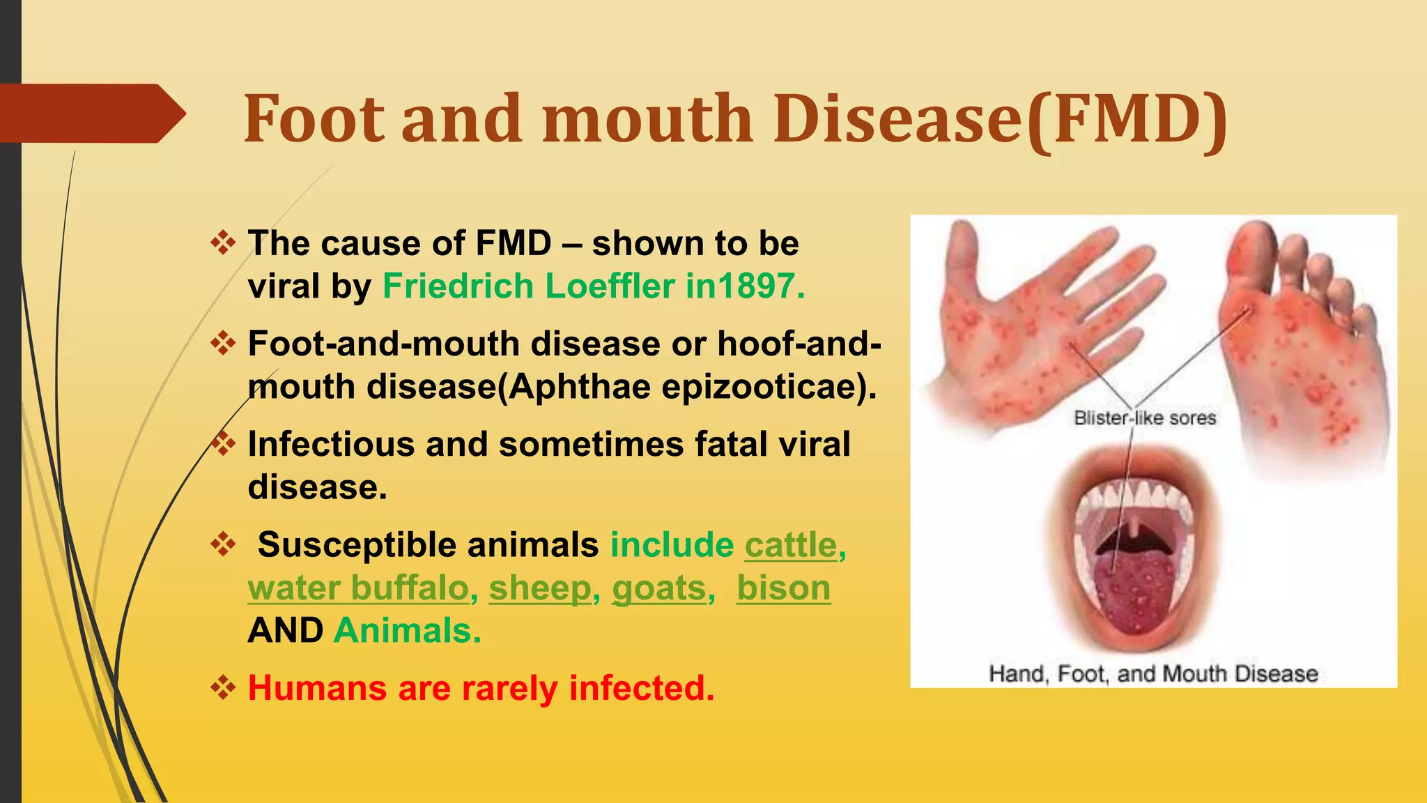 Foot and mouth,coccidiosis disease | PPTX