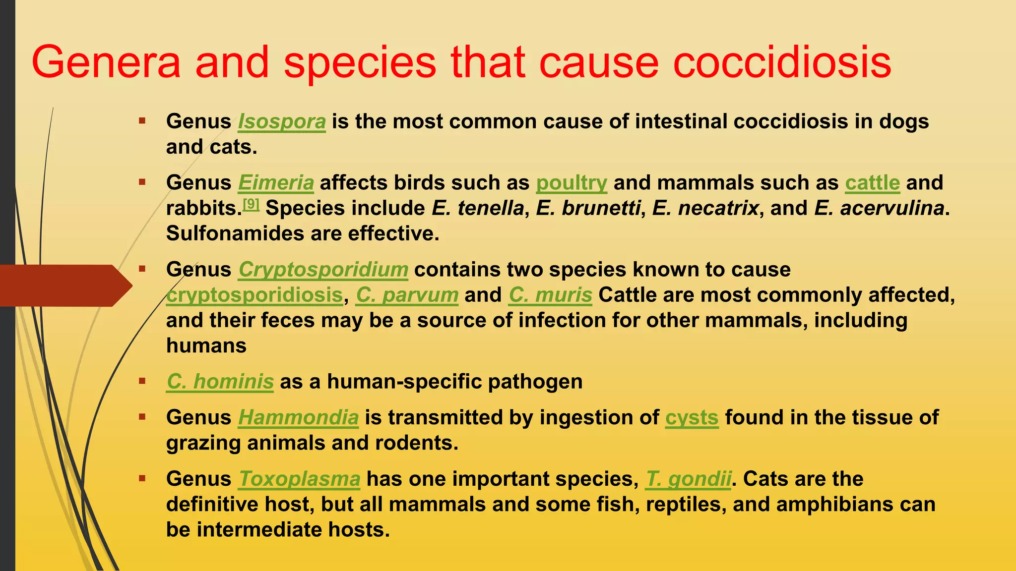 Foot and mouth,coccidiosis disease | PPTX