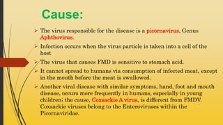 Foot and mouth,coccidiosis disease | PPTX