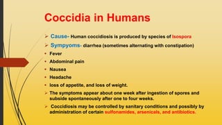 Foot and mouth,coccidiosis disease | PPT
