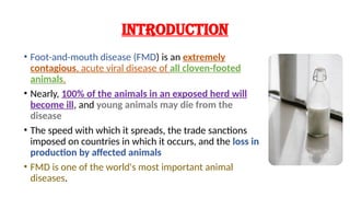 Foot and mouth disease in animals and its control and prevention.pptx