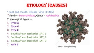 Foot and mouth disease in animals and its control and prevention.pptx