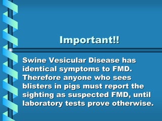 Foot and mouth disease | PPTX