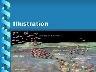 Foot and mouth disease | PPTX