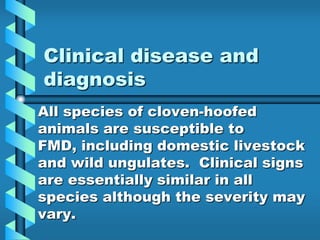 Foot and mouth disease | PPTX