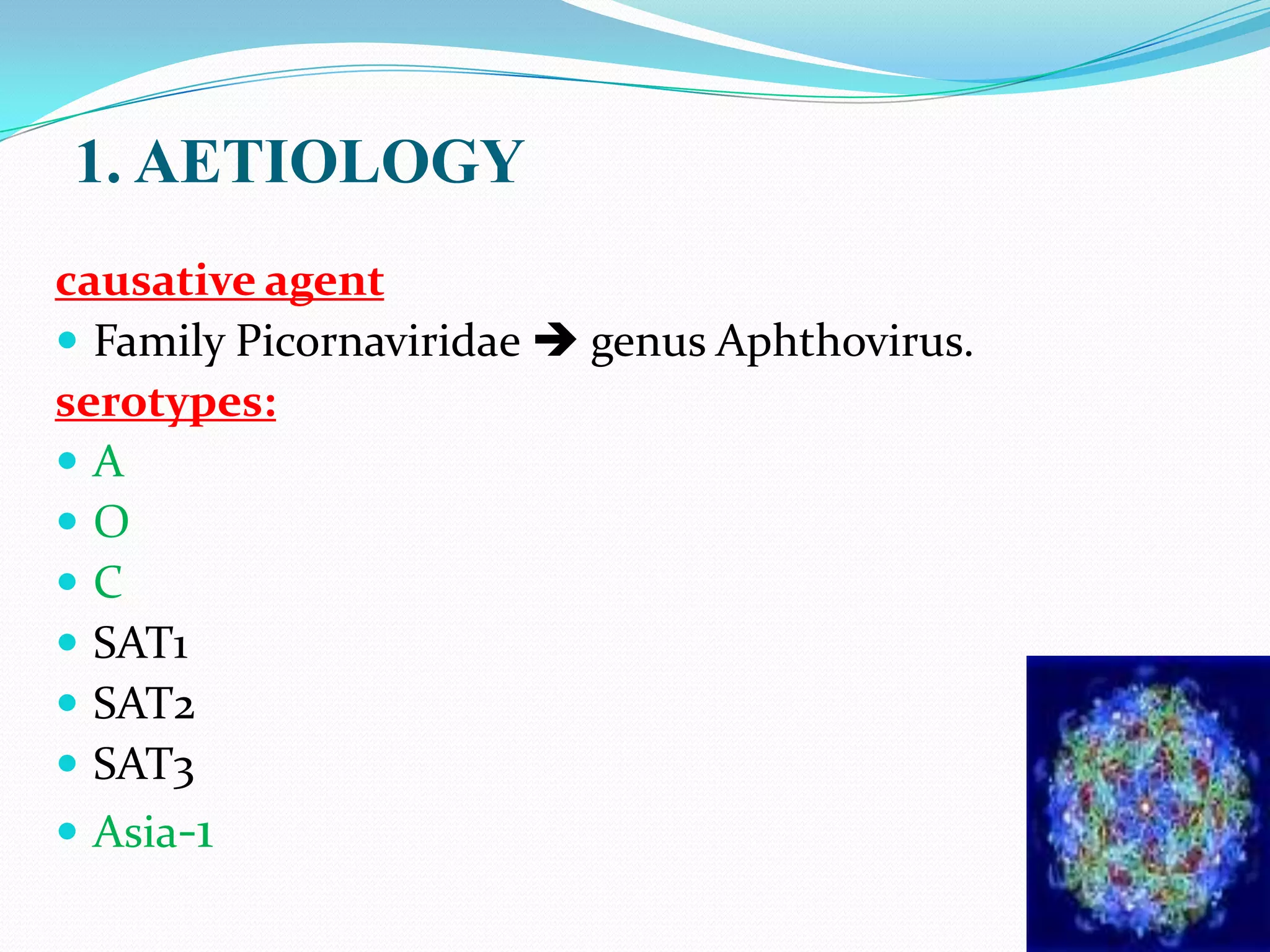 Foot and mouth disease | PPTX
