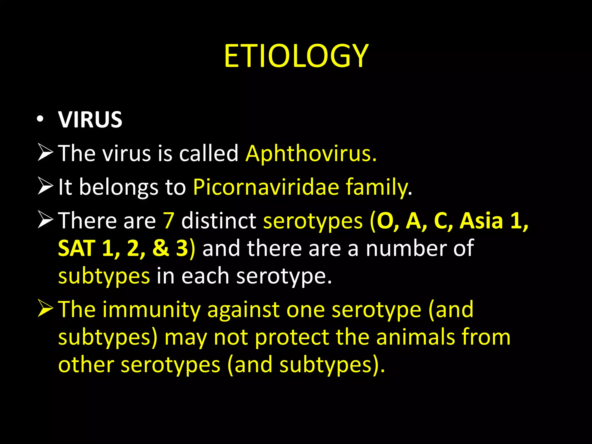 Foot and mouth disease | PPTX