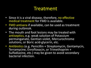 Foot and mouth disease | PPTX