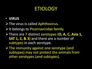Foot and mouth disease | PPTX