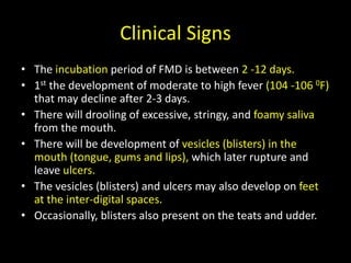 Foot and mouth disease | PPTX