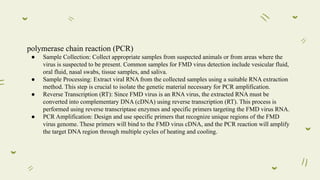 Foot and Mouth Disease | PPT