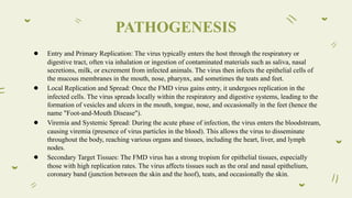 Foot and Mouth Disease | PDF