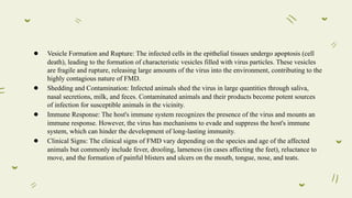 Foot and Mouth Disease | PDF
