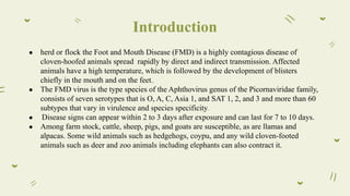 Foot and Mouth Disease | PDF