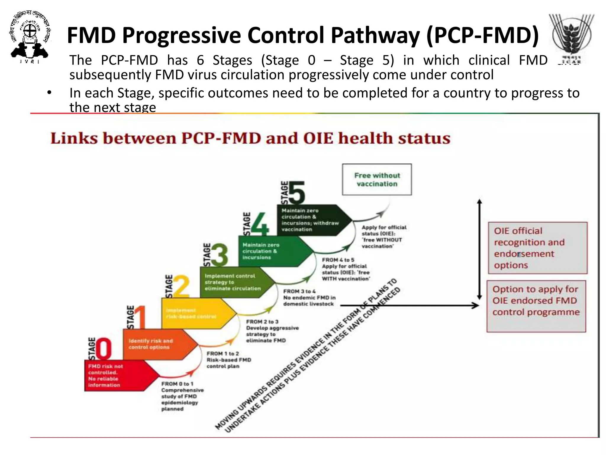 Foot and mouth disease: An Indian perspective | PPTX