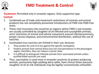 Foot and mouth disease: An Indian perspective | PPTX