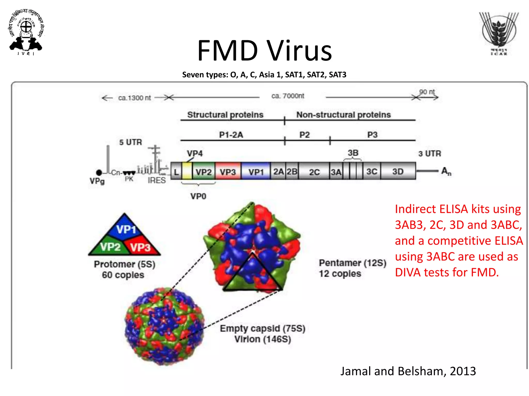 Foot and mouth disease preventive and epidemiological aspects | PPTX
