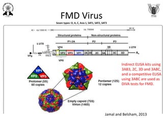 Foot and mouth disease preventive and epidemiological aspects | PPTX