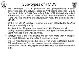 Foot and mouth disease preventive and epidemiological aspects | PPTX