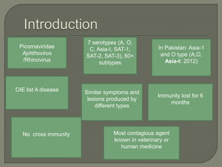 Foot and Mouth Disease at first sight | PPTX