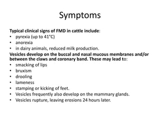 Foot and mouth disease PPT.pptx | Infectious Diseases | Diseases and ...
