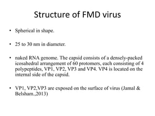 Foot and mouth disease PPT.pptx | Infectious Diseases | Diseases and ...
