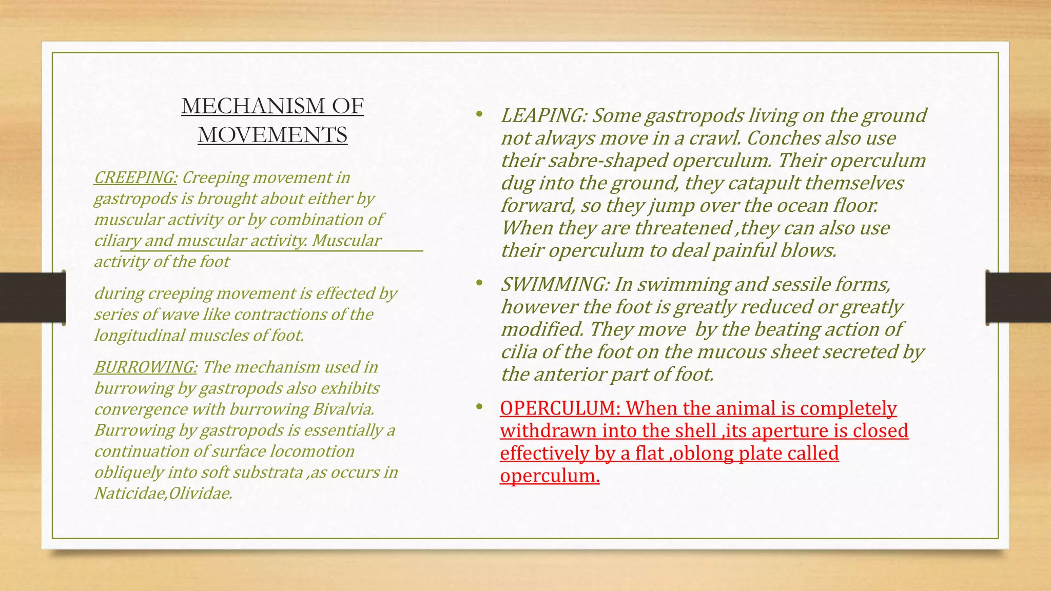 Foot and shell of molluscs | PPTX