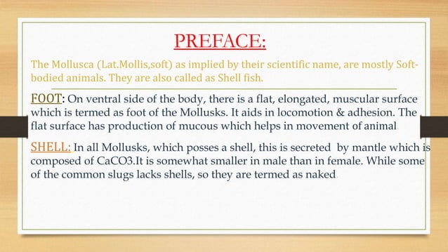 Foot and shell of molluscs | PPTX