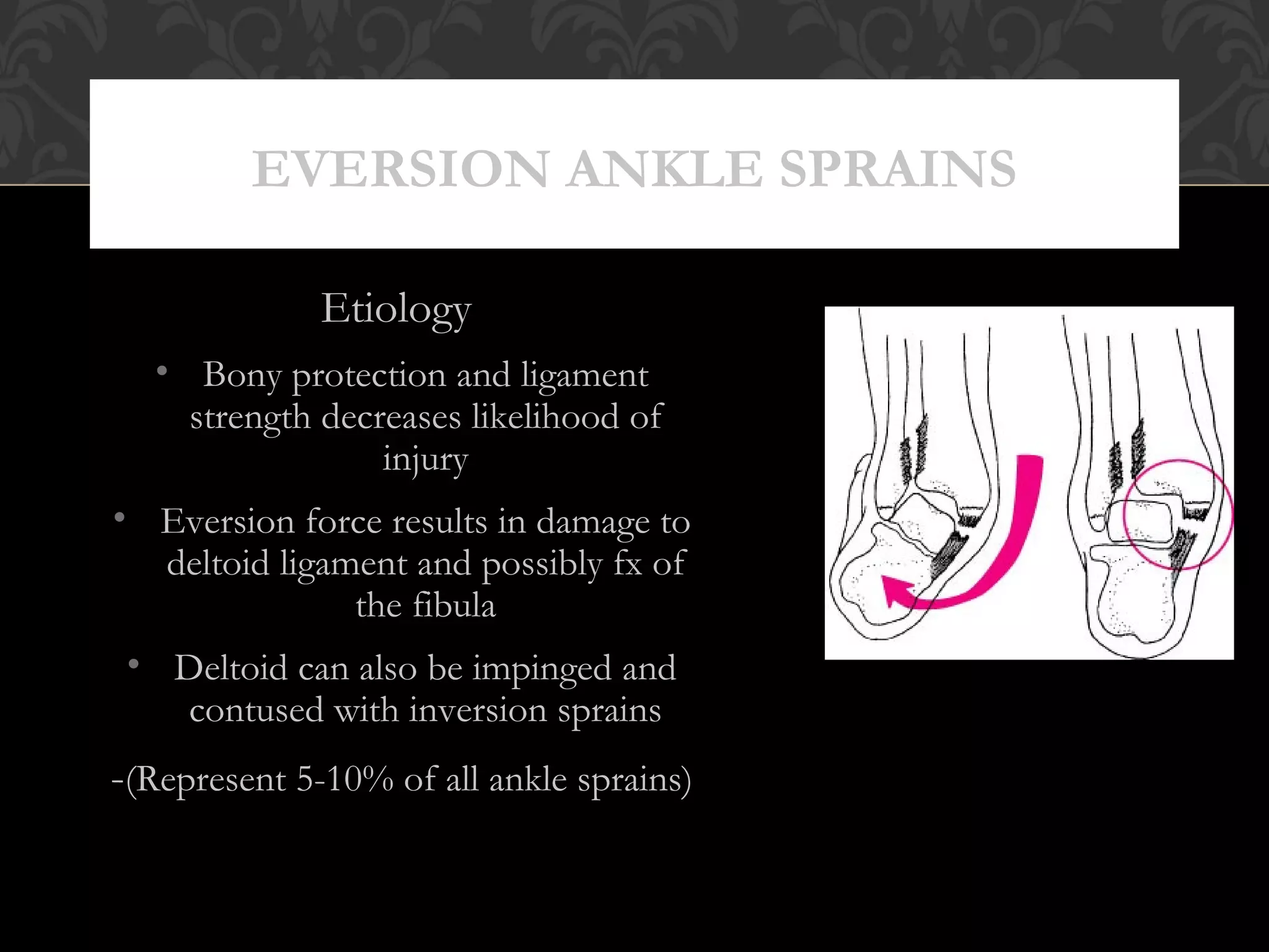 Foot, ankle, lower leg s12 | PPT
