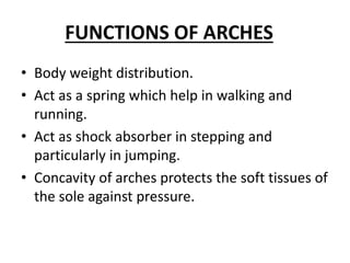 Foot arch deformities 2 | PPTX
