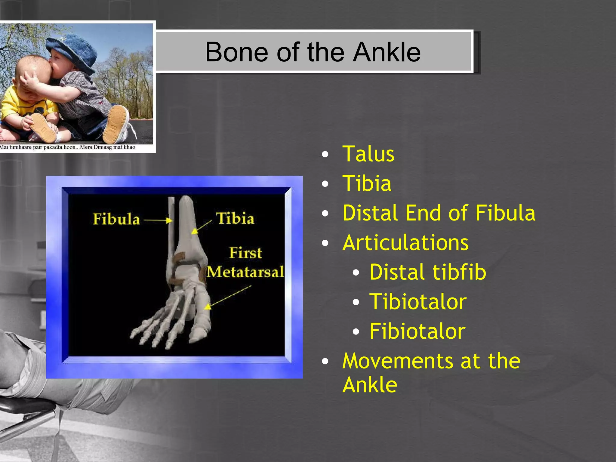 Foot biomechanics | PPT