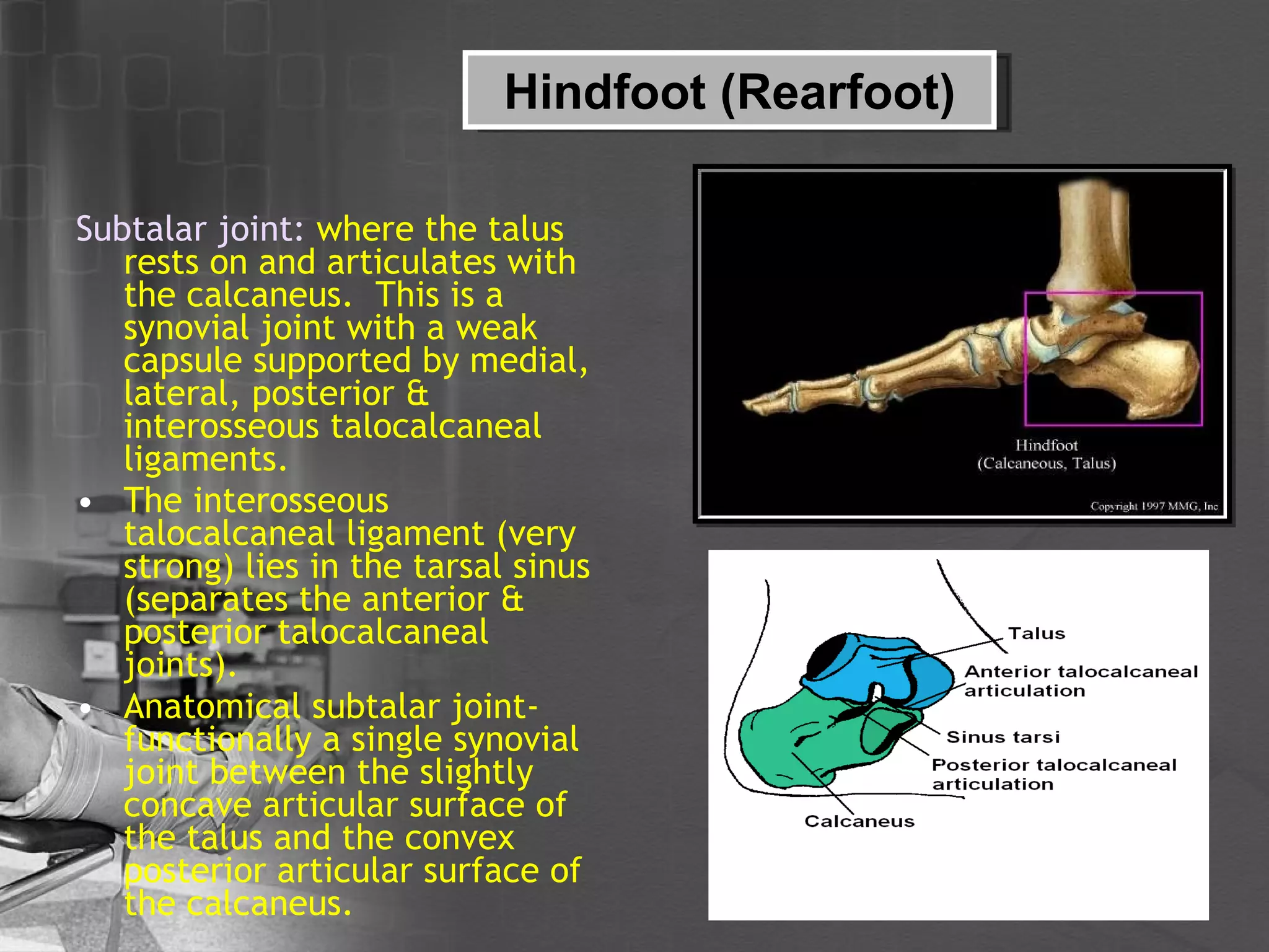 Foot biomechanics | PPT