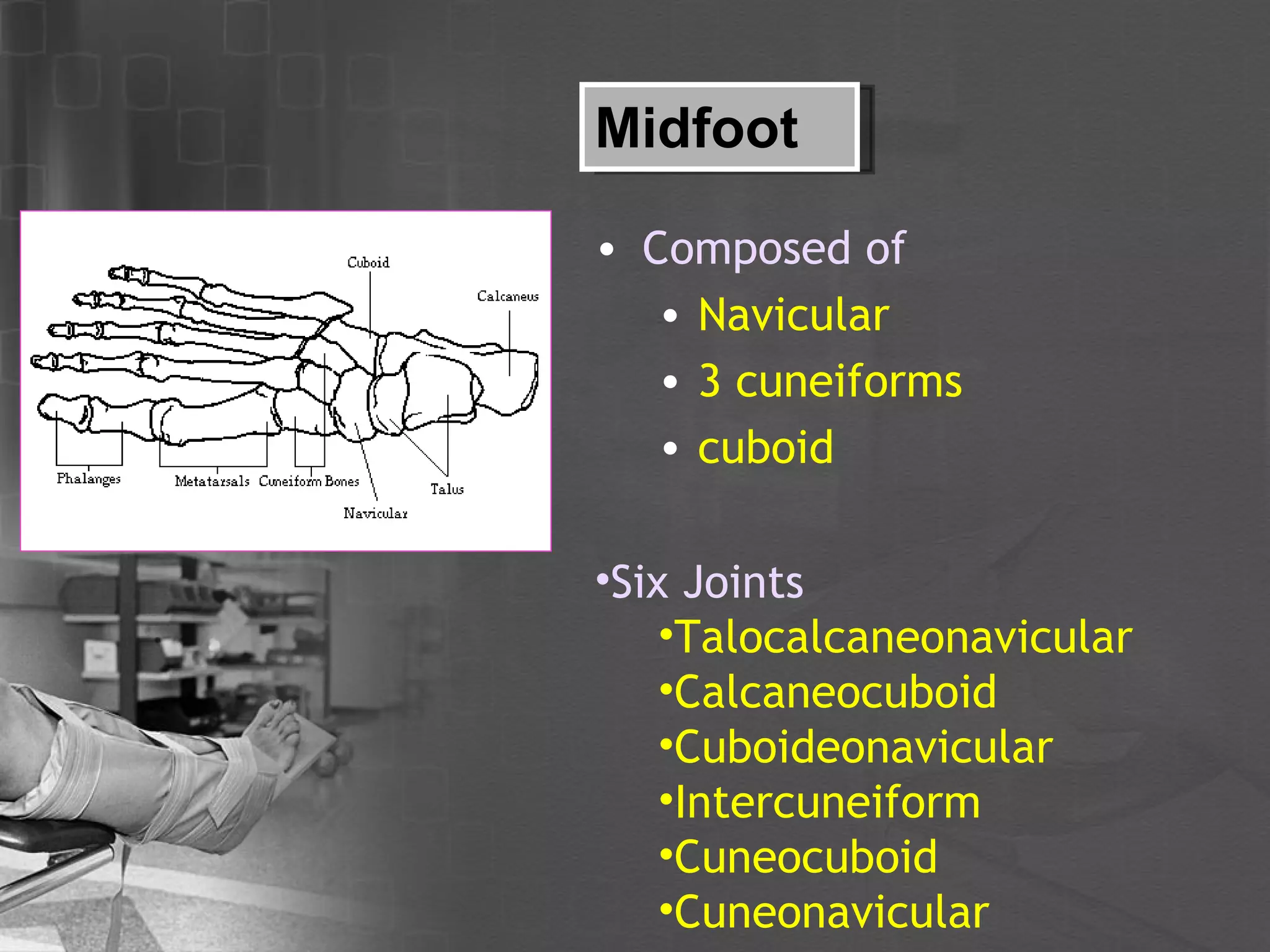 Foot biomechanics | PPT