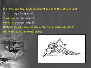 Foot biomechanics | PPT